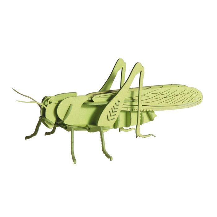 Купить Кузнечик | Grasshopper Fridolin 3D модель 11608 в интернет ...